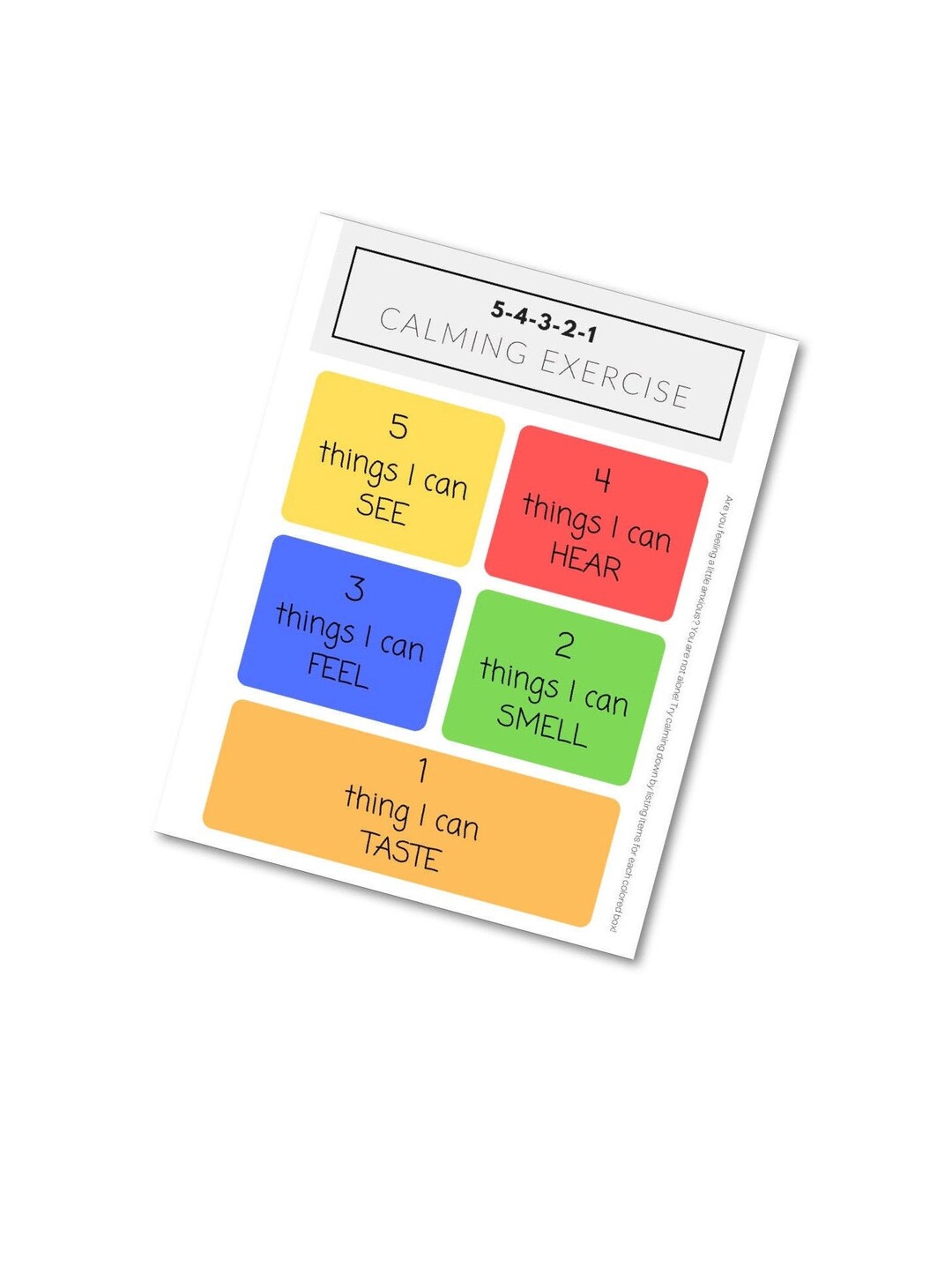 5-4-3-2-1 Anxiety Grounding Technique / De-escalation Exercise *INSTANT ...