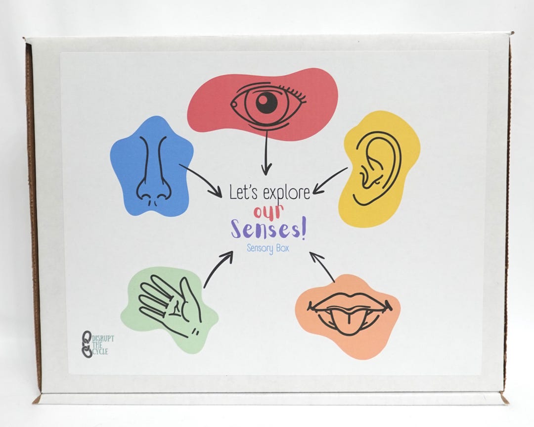 Let's Explore Our Senses! Early Education Activity Box - Interactive ...