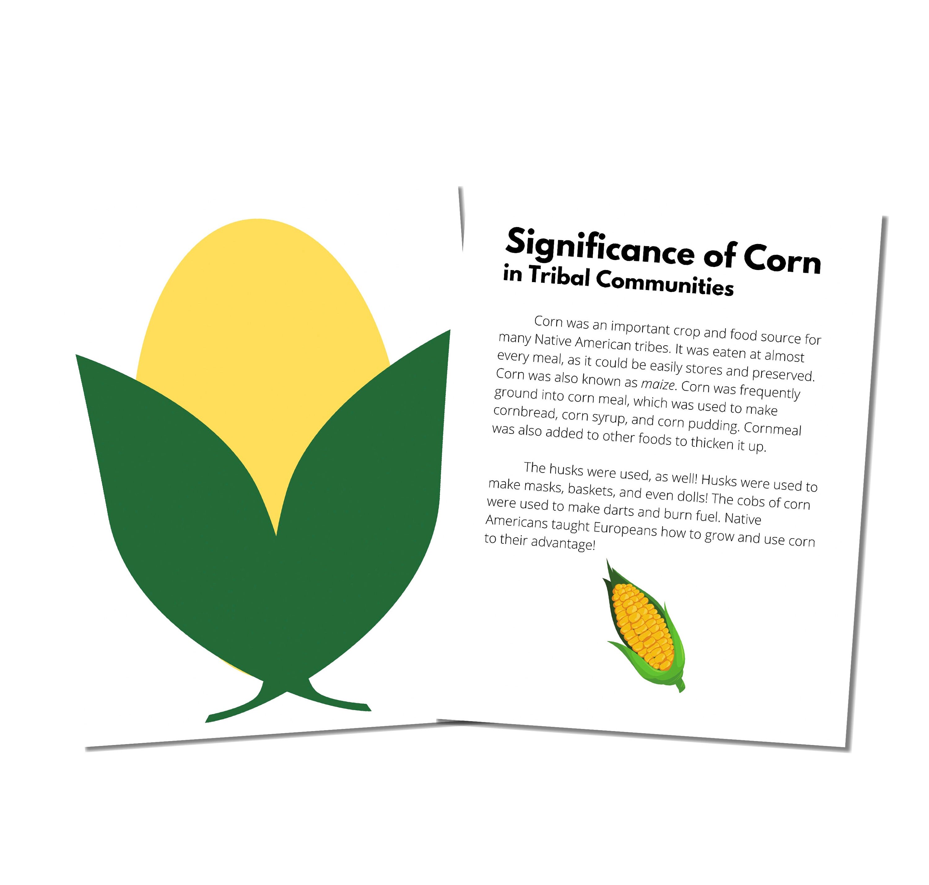 Importance of Corn to Native American Culture Craft With 1-pager ...