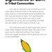 Importance of Corn to Native American Culture Craft With 1-pager ...