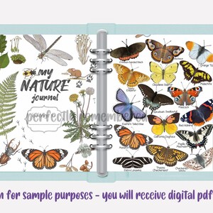 Kids Nature Journal Printable, Kids Fun Activity Sheets for Enhancing ...