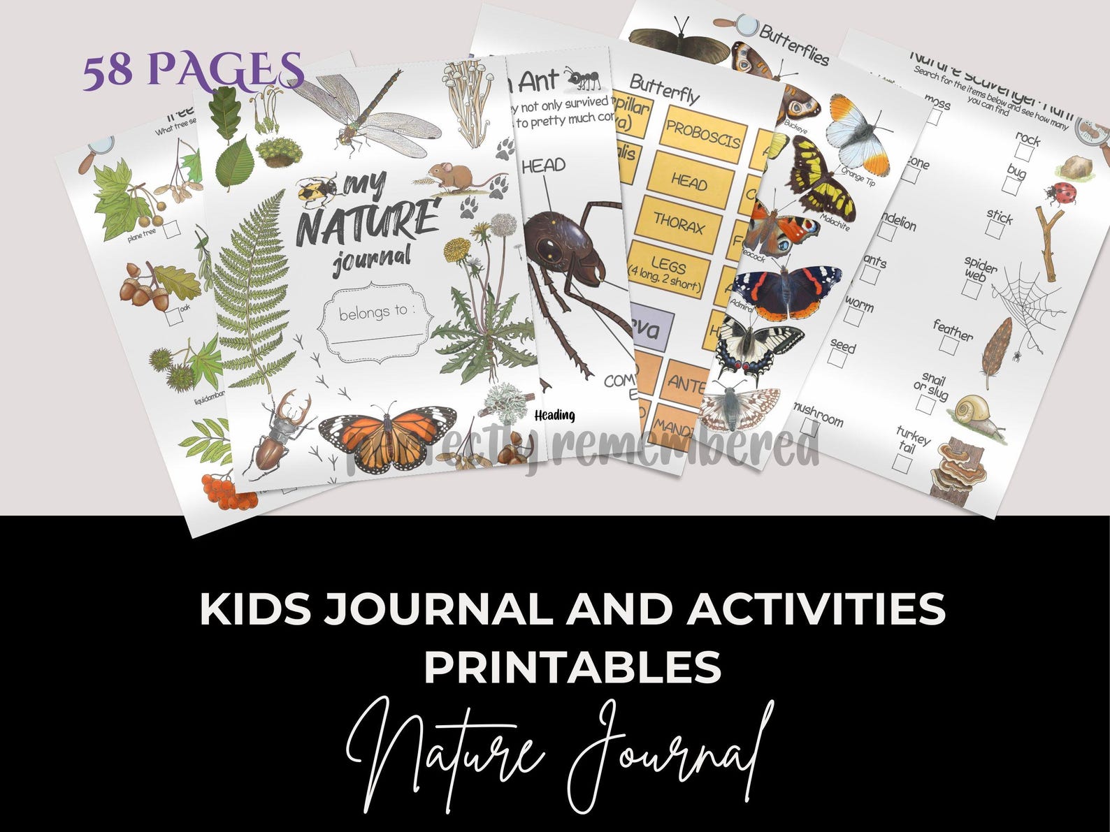 Kids Nature Journal Printable, Kids Fun Activity Sheets for Enhancing ...