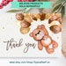 EDITABLE Zoom Background Baby Shower Teddy Bear Virtual Baby - Etsy