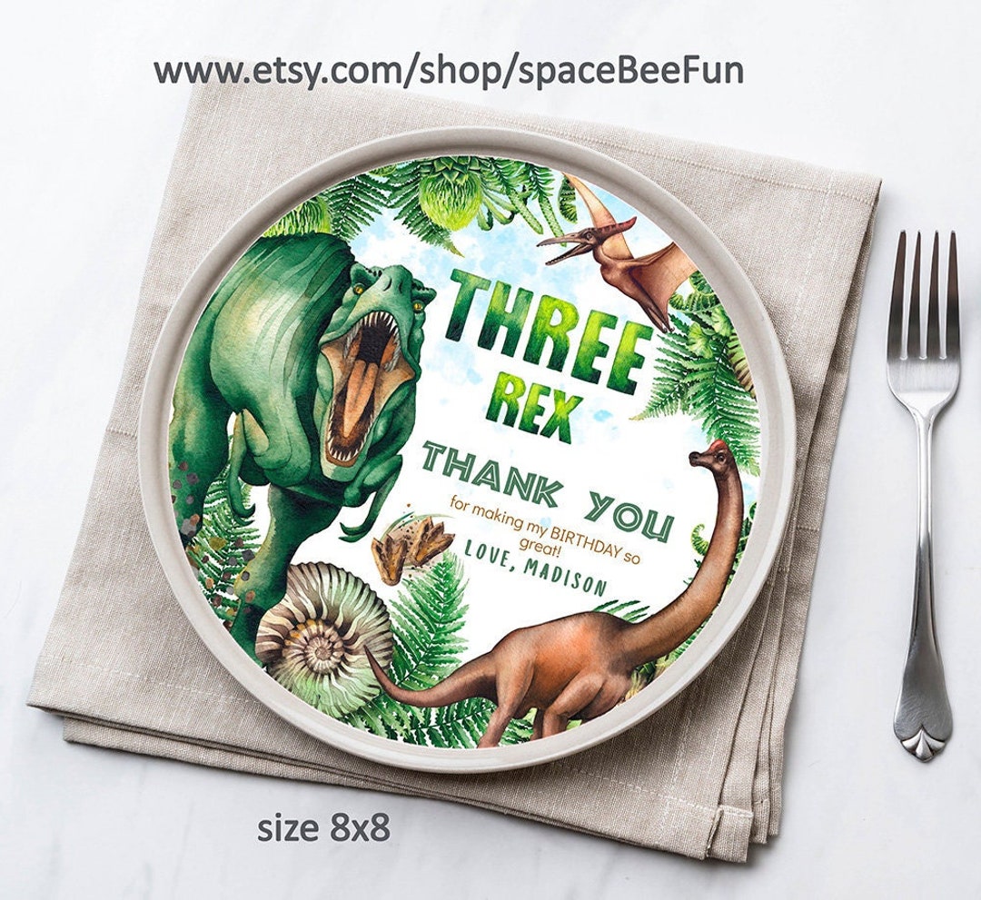 Dinosaur Birthday Boy Dinosaur Party Birthday Plate Insert Charger ...