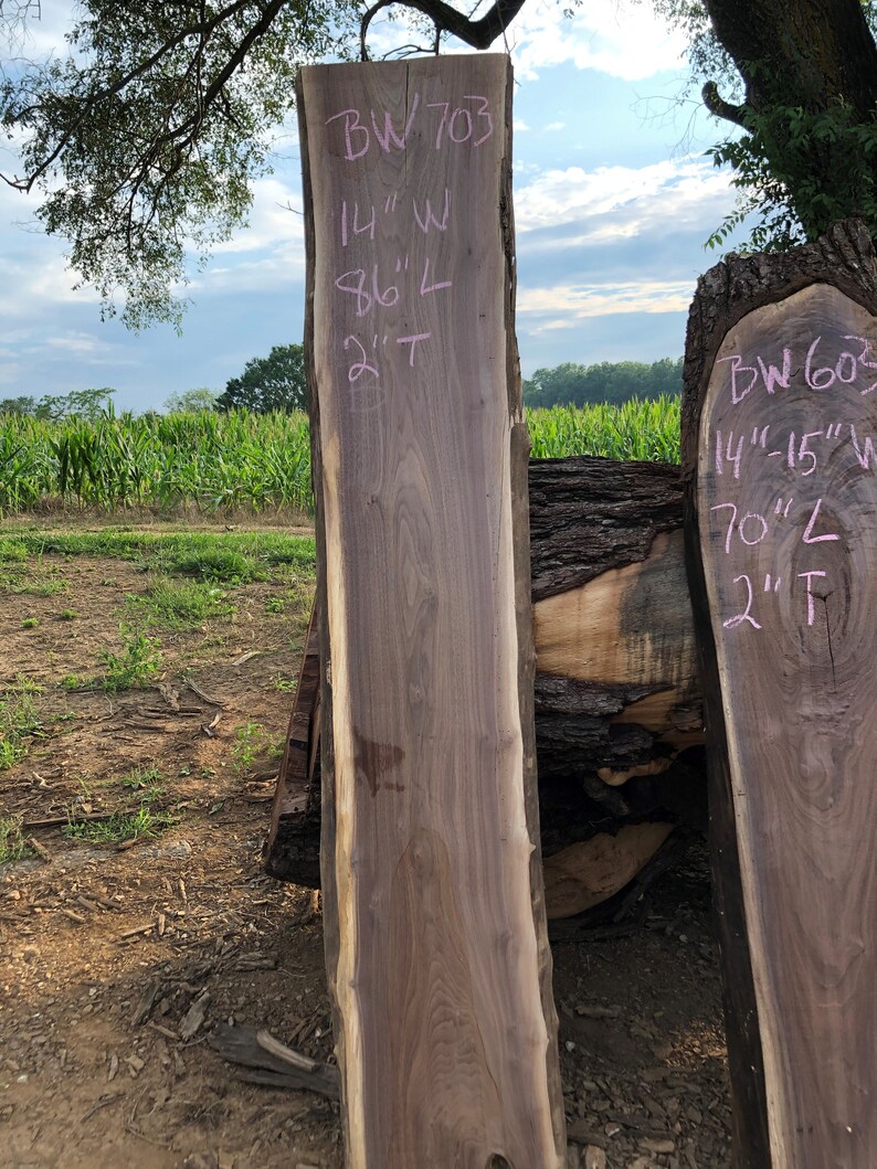Black Walnut Extra Large Live Edge Slabs up to 104 | Etsy