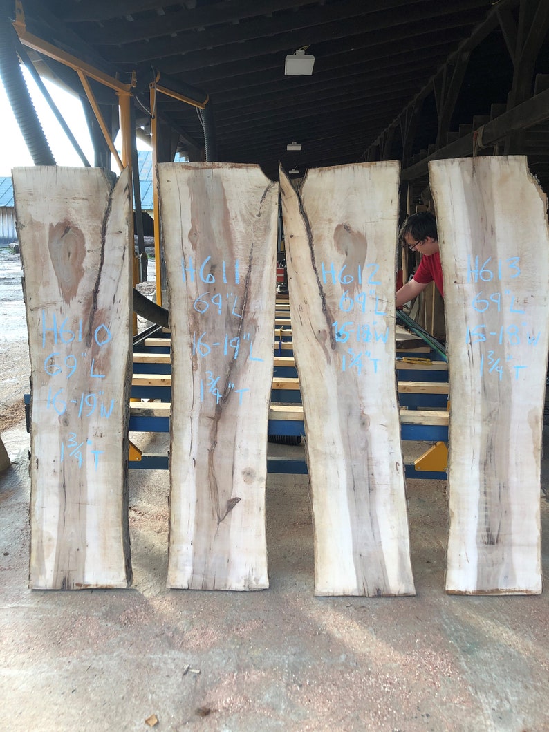 Hickory Live Edge Slabs Extra LARGE up to 104 Long - Etsy