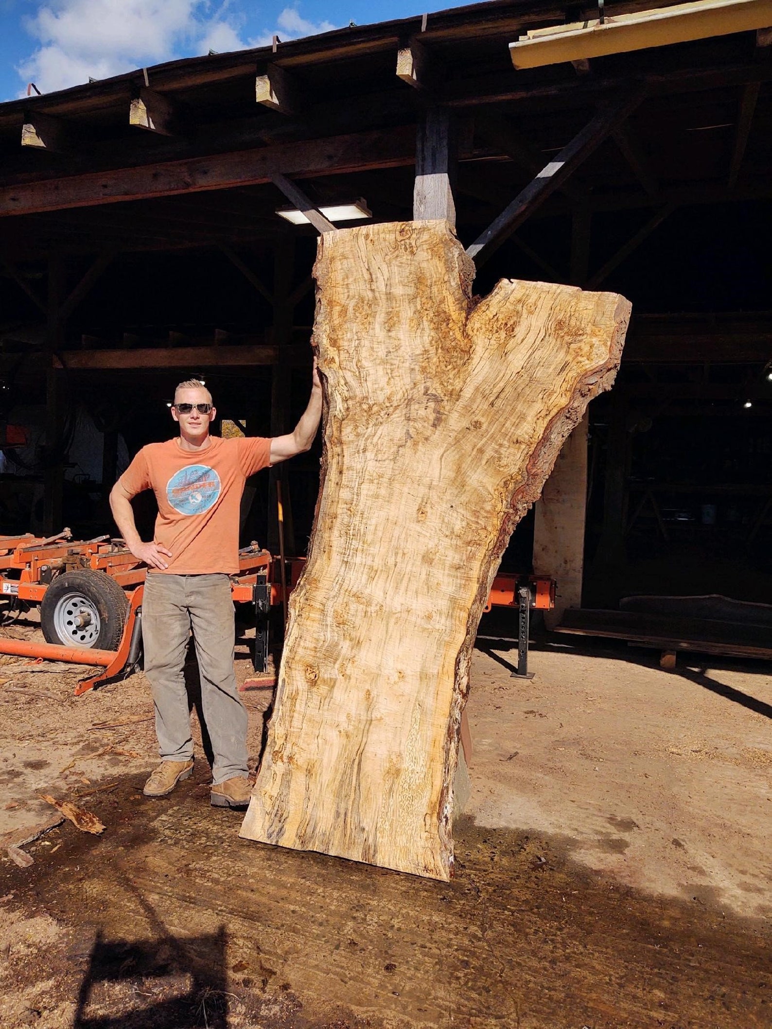 Extra Wide and Long Live Edge Slabs - Etsy
