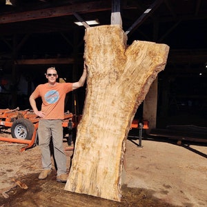 Extra Wide and Long Live Edge Slabs - Etsy