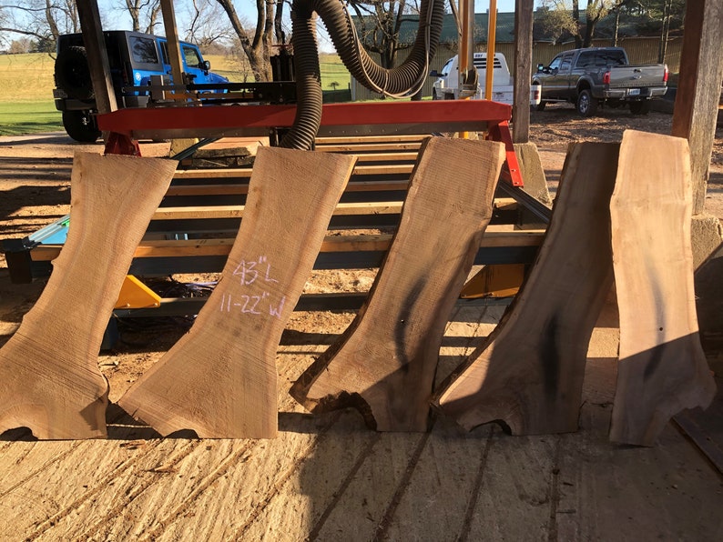 Black Walnut - Small Live Edge Slabs - Etsy
