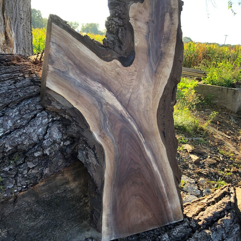 Live Edge Slabs - Etsy