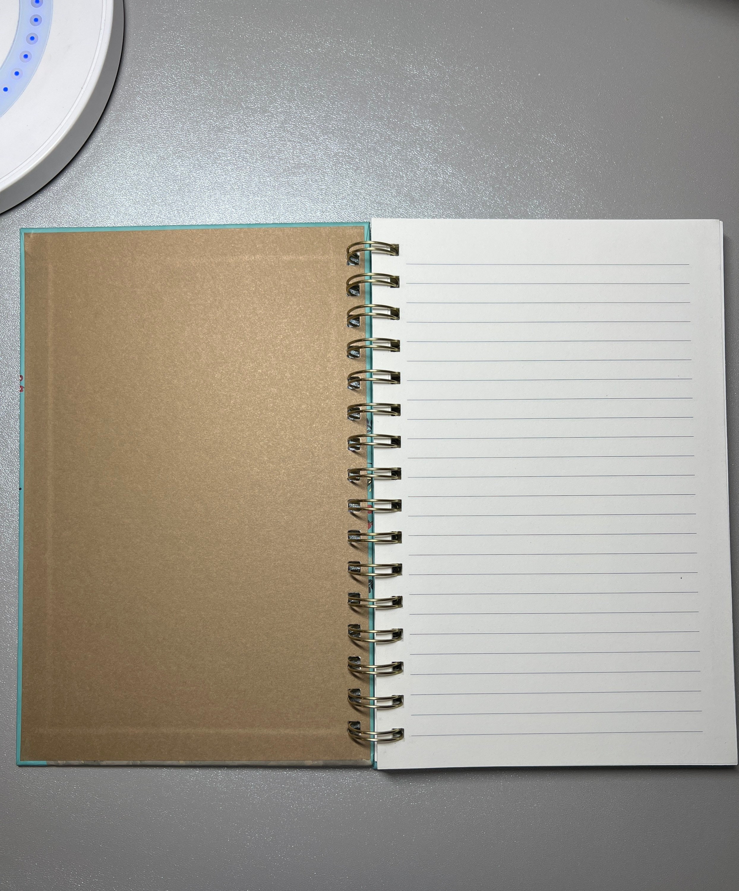 OCS DESIGN Adare Rabbit Journal Notebook, 8.75L X 5.75W, 160 Lined ...