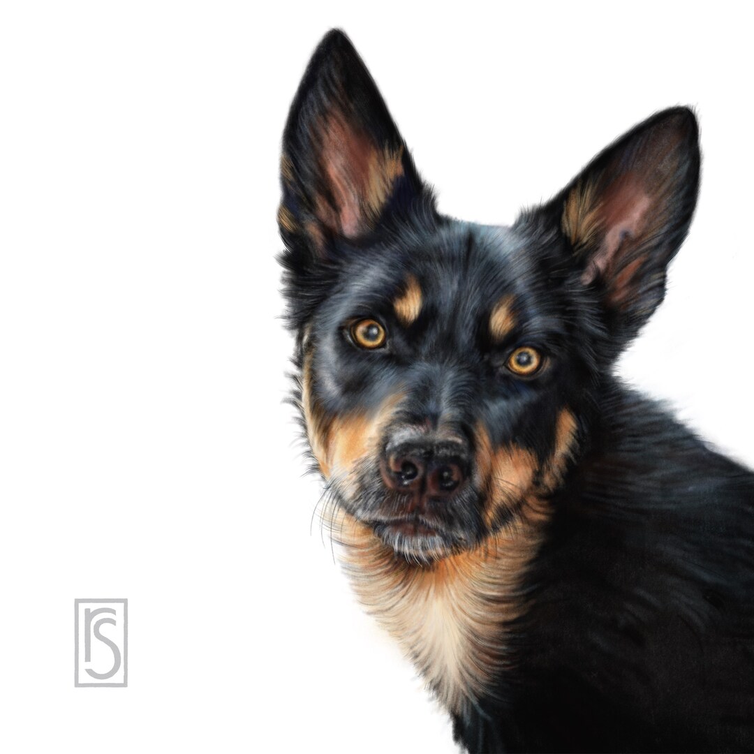 Digital Pet Portrait, Hand Drawn, JPEG File, Personalised, Custom Pet ...