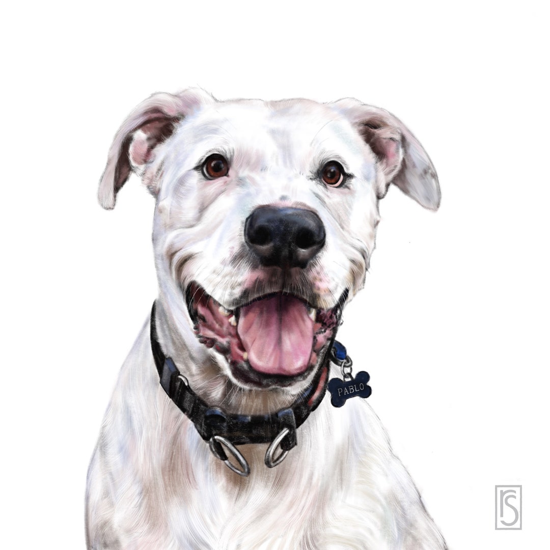 Digital Pet Portrait, Hand Drawn, JPEG File, Custom Pet Portrait, Hand ...