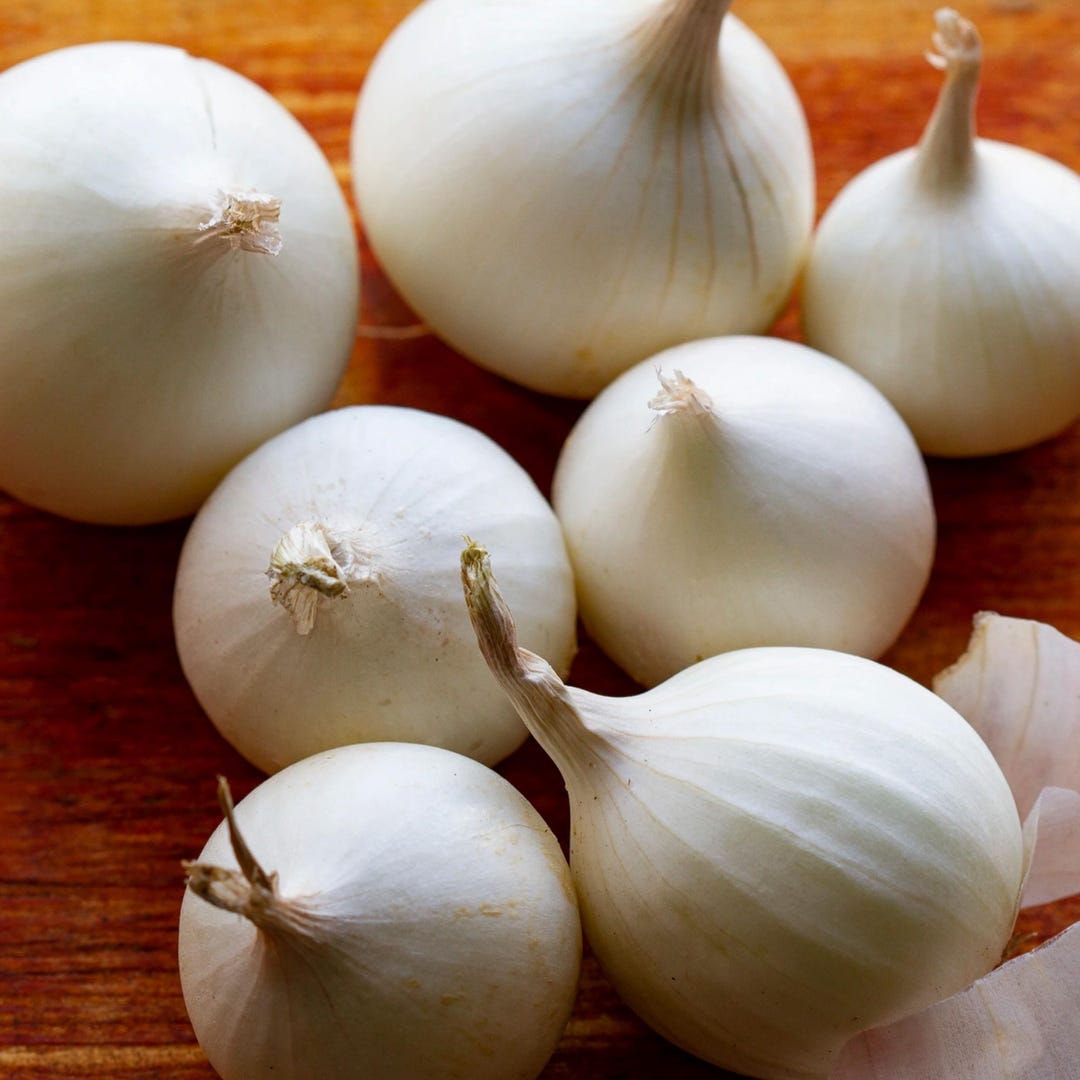 White Sweet Spanish Onion Seeds - Organic & Non Gmo Onion Seeds ...