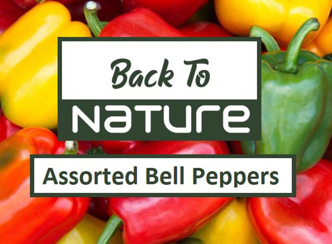 Assorted Bell Pepper Seeds Organic & Non Gmo Pepper Seeds - Etsy