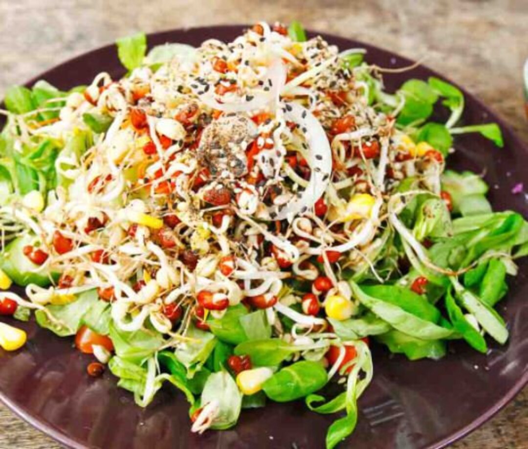 Tangy Bean Mix Sprouting Seed Blend - Organic & Non Gmo Seeds ...