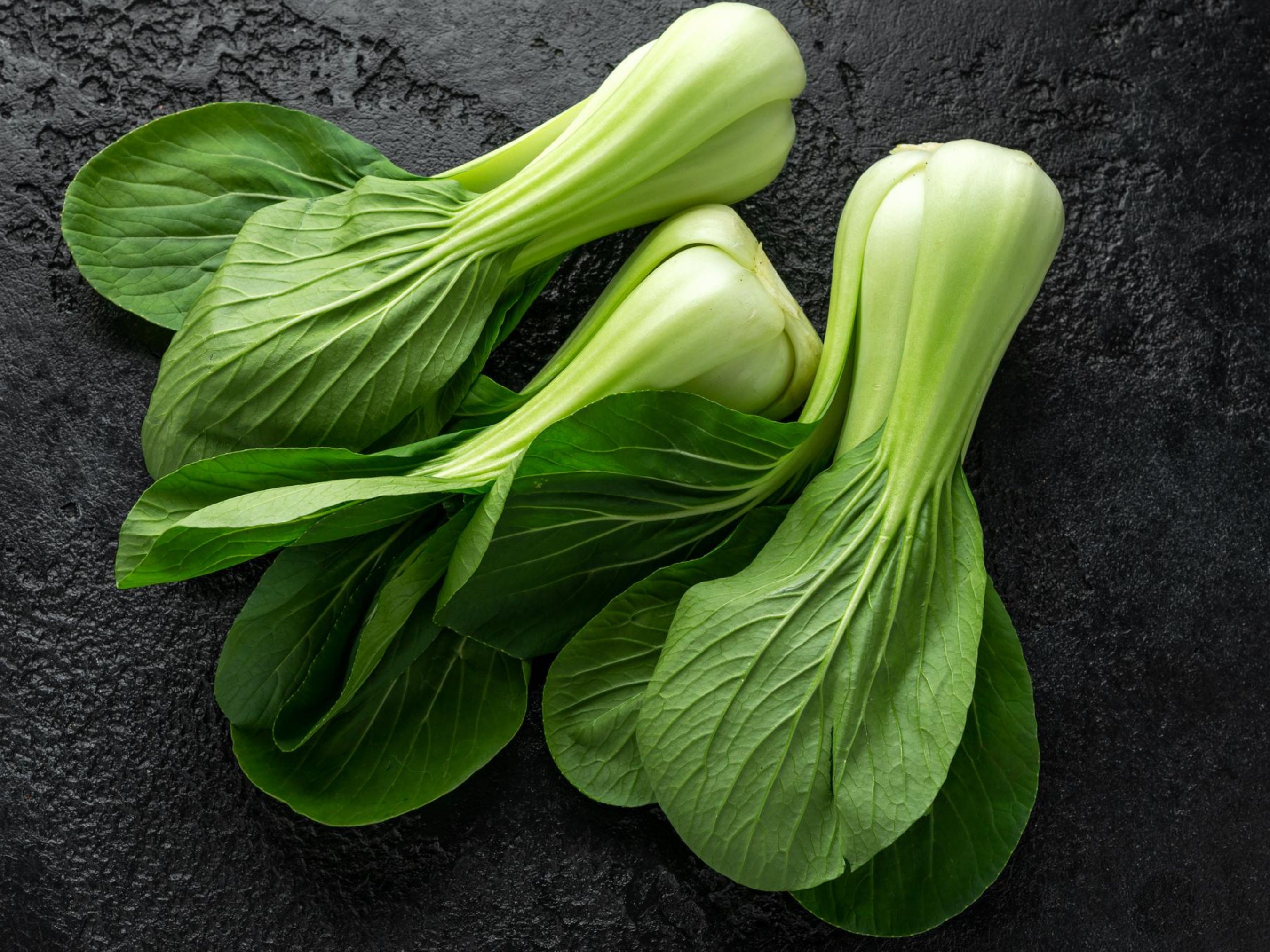 Pak Choi Seeds Organic & Non Gmo Pak Choi Seeds Heirloom - Etsy