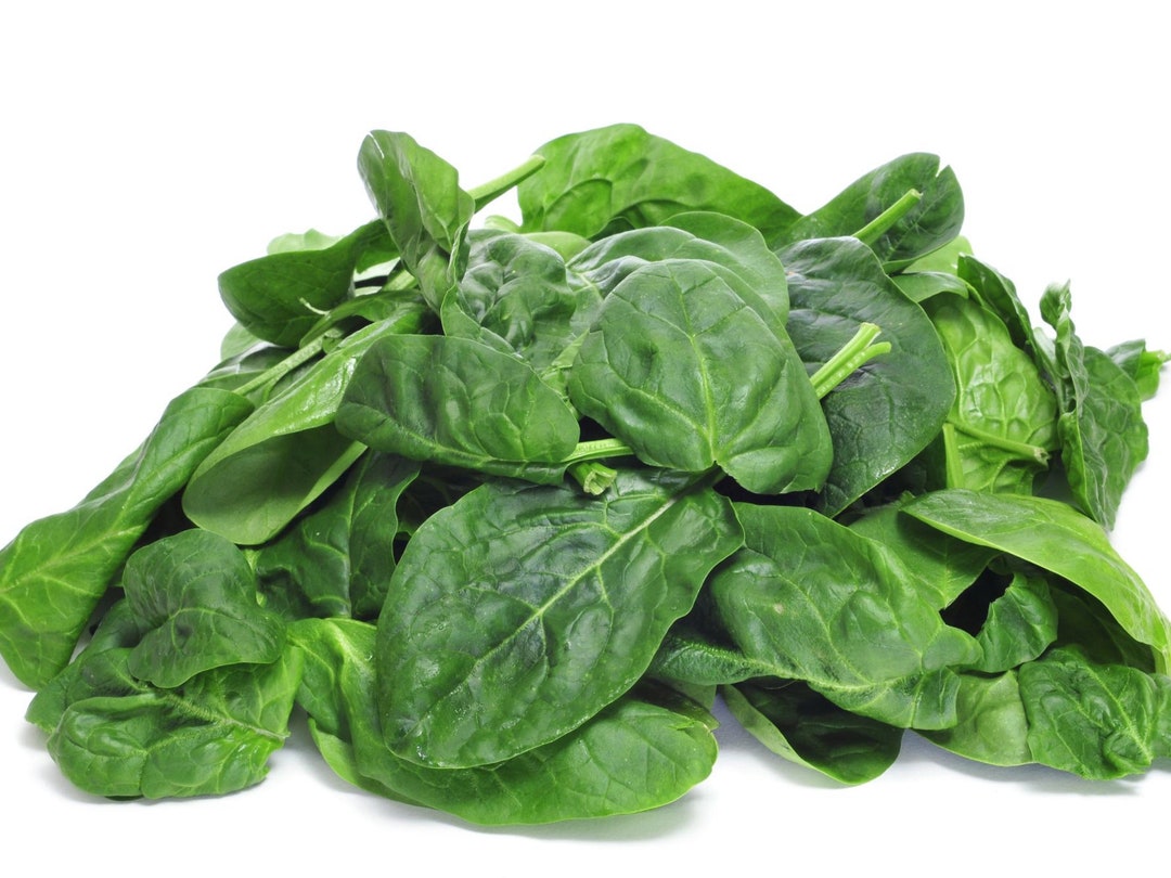 Giant Noble Spinach Seeds - Organic & Non GMO - Grow Your Own Giant ...