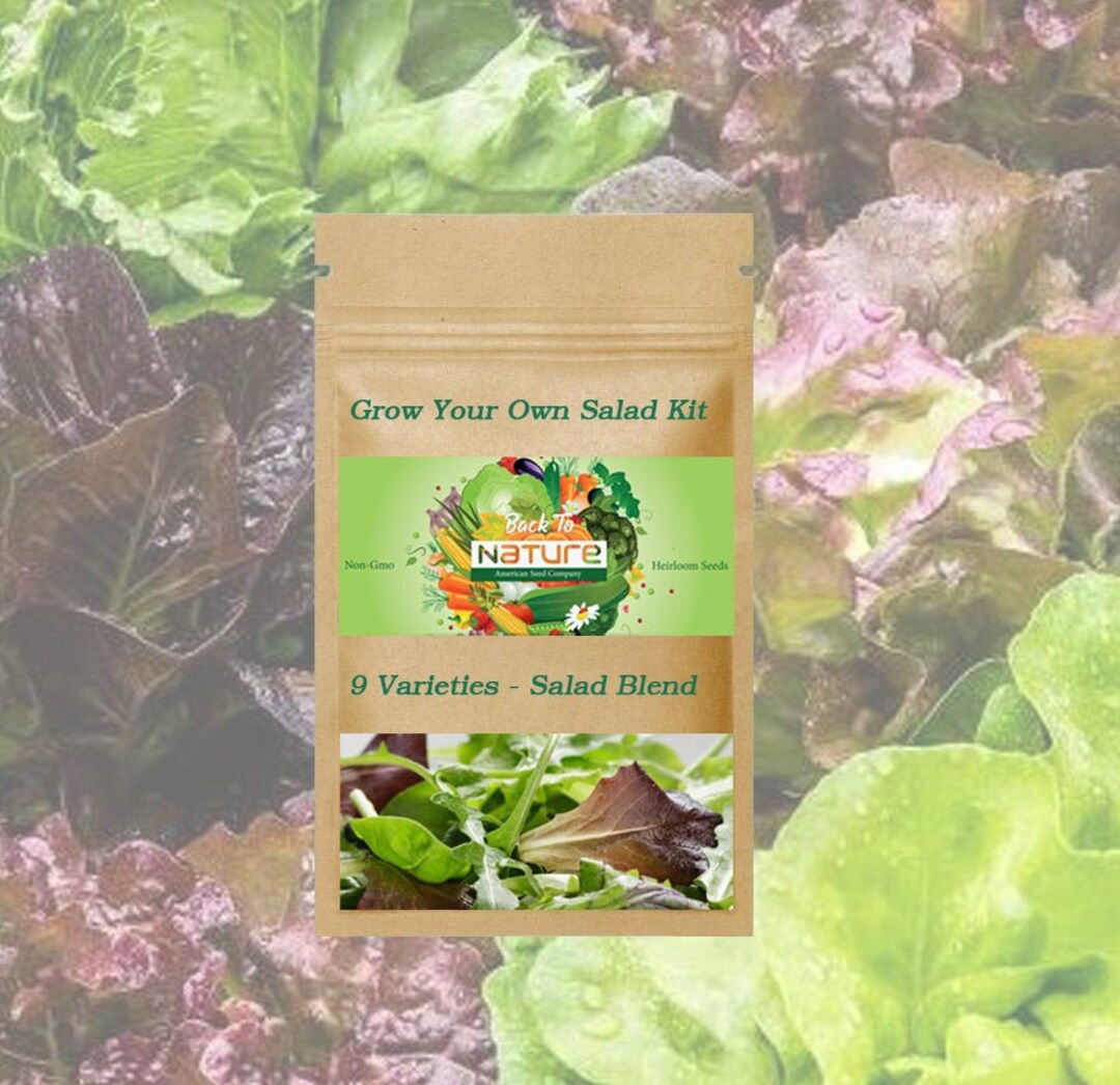 Grow Your Own Salad Seed Kit 9 Salad Seed Varieties - Etsy
