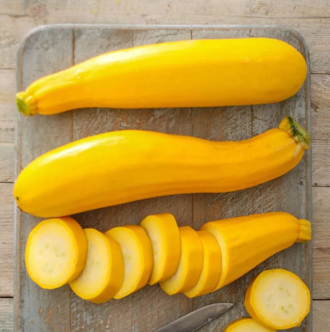Golden Zucchini Seeds - Organic & Non Gmo Zucchini Seeds - Heirloom ...