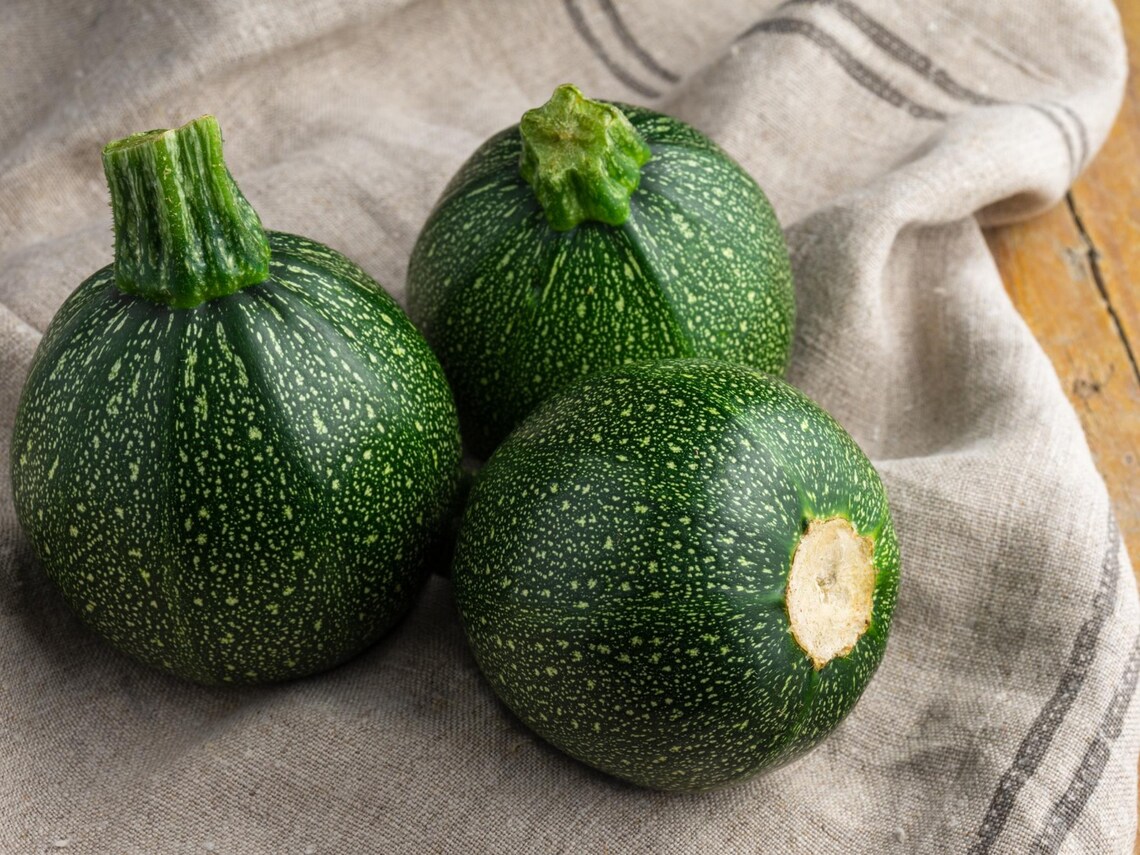Round Zucchini Seeds Organic Non Gmo Heirloom Seeds - Etsy
