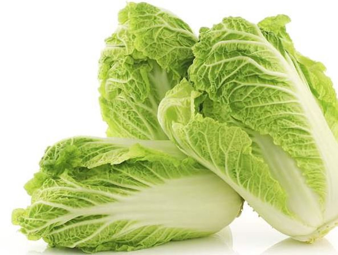 Semillas de repollo chino Semillas de repollo orgánicas y no - Etsy España