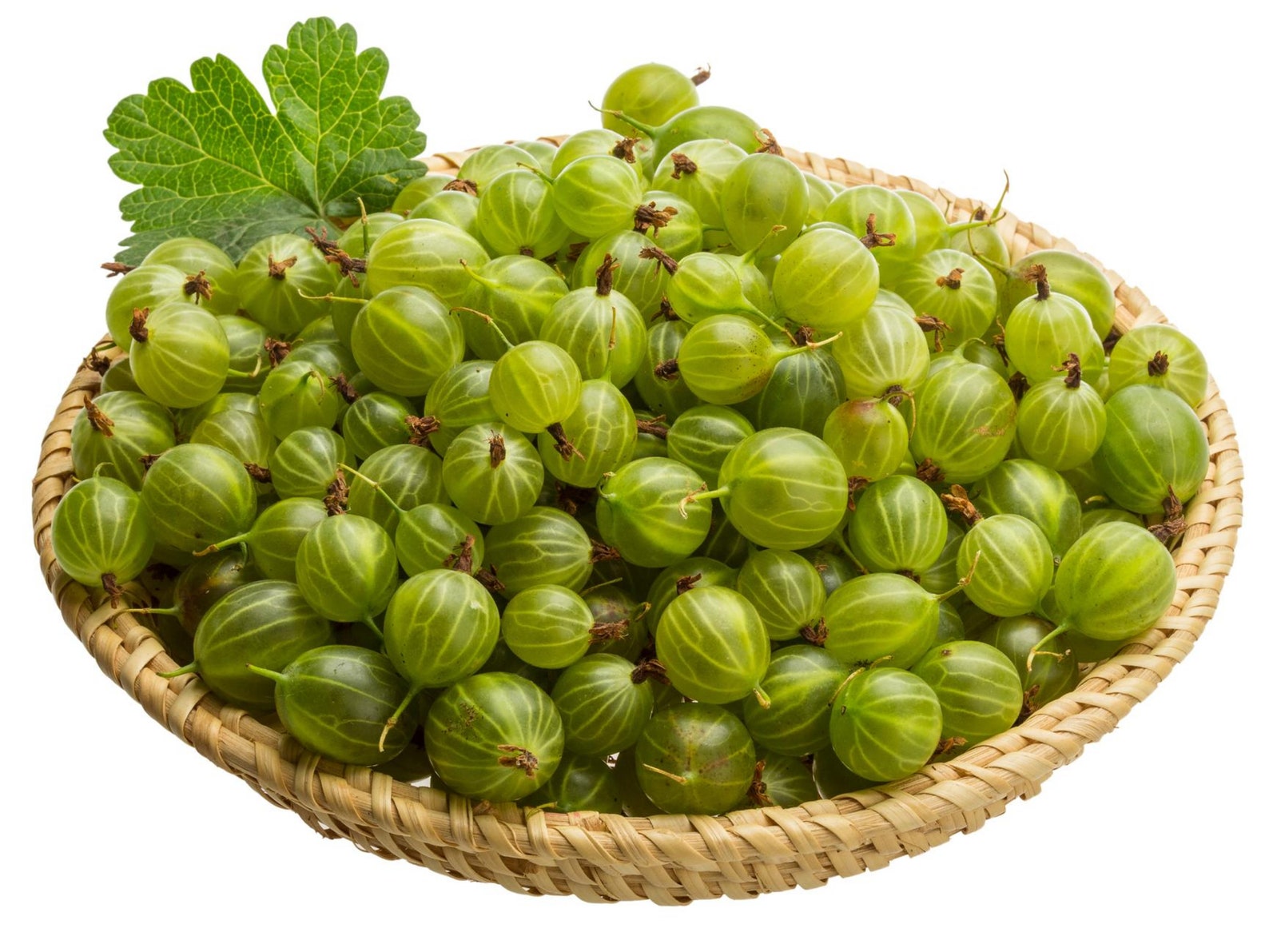 Organic Gooseberry Seeds - Indian Gooseberry Seeds - Amla Phyllanthus ...