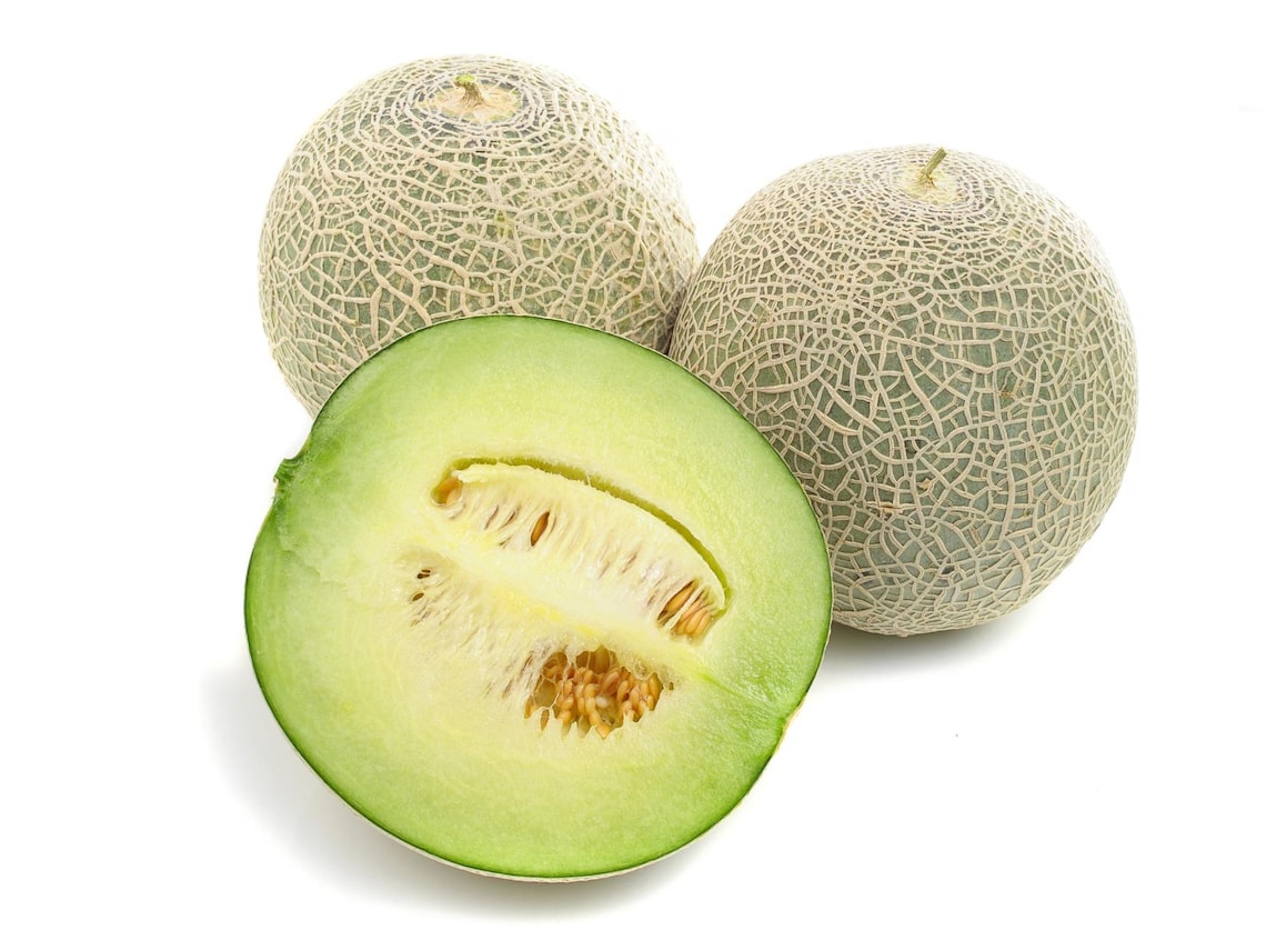 Honeydew Seeds Organic & Non Gmo Honeydew Seeds Heirloom - Etsy