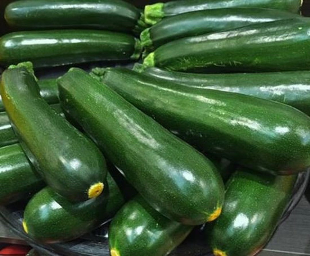 Dark Green Zucchini Seeds Organic & Non Gmo Zucchini Seeds Heirloom ...