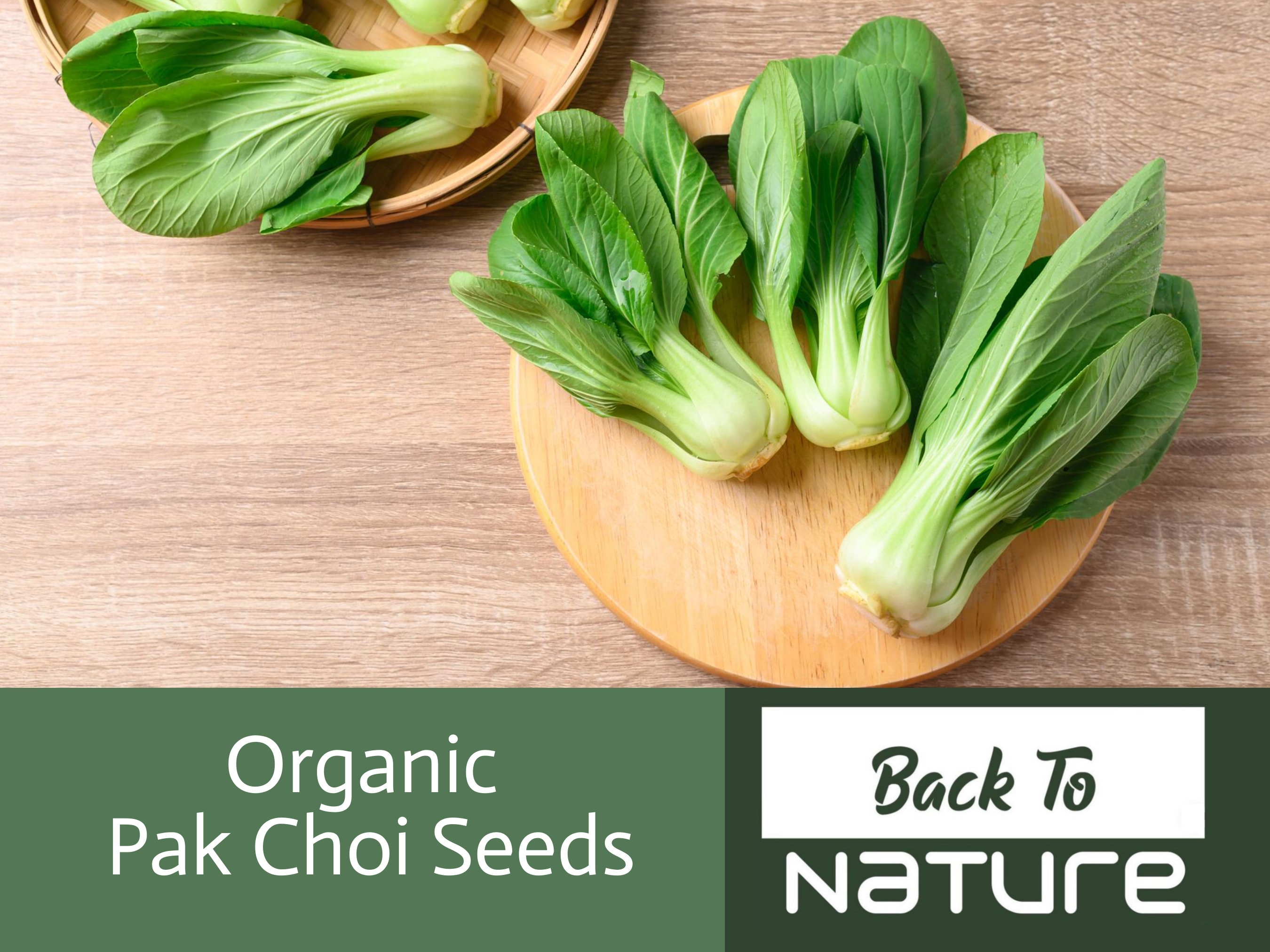 Pak Choi Seeds Organic & Non Gmo Pak Choi Seeds Heirloom - Etsy