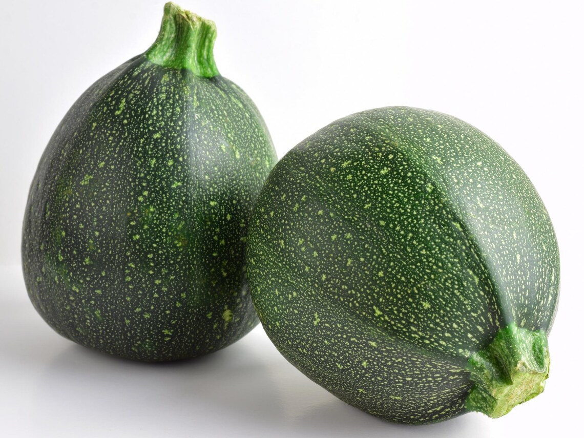 Round Zucchini Seeds Organic Non Gmo Heirloom Seeds - Etsy