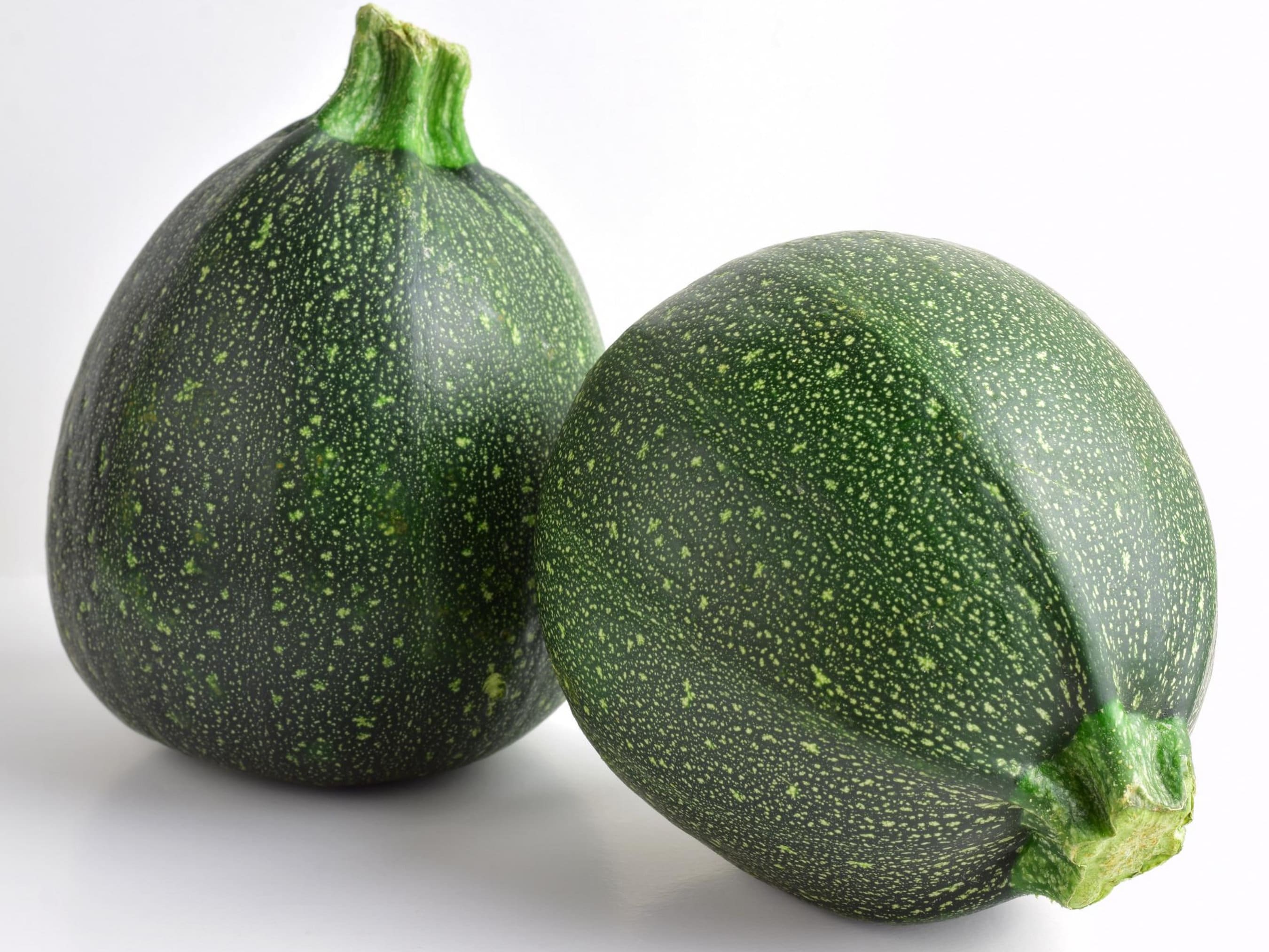 Round Zucchini Seeds Organic Non Gmo Heirloom Seeds - Etsy
