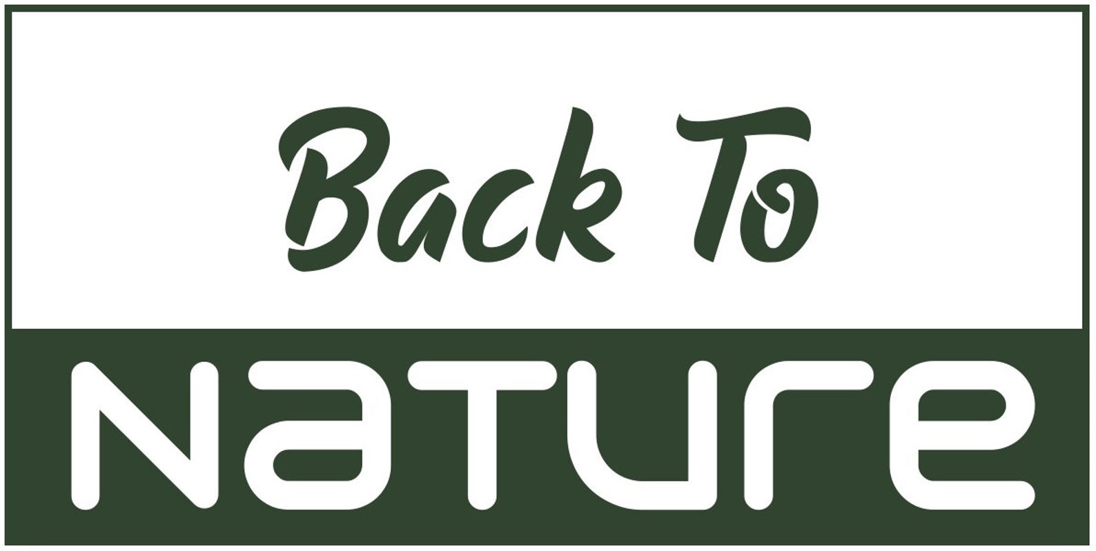 Marketer Cucumber Seeds Organic & Non Gmo Heirloom Seeds - Etsy