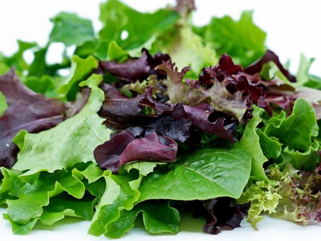 Spring Lettuce Mix Seeds - Organic & Non Gmo Seeds - Heirloom Lettuce ...