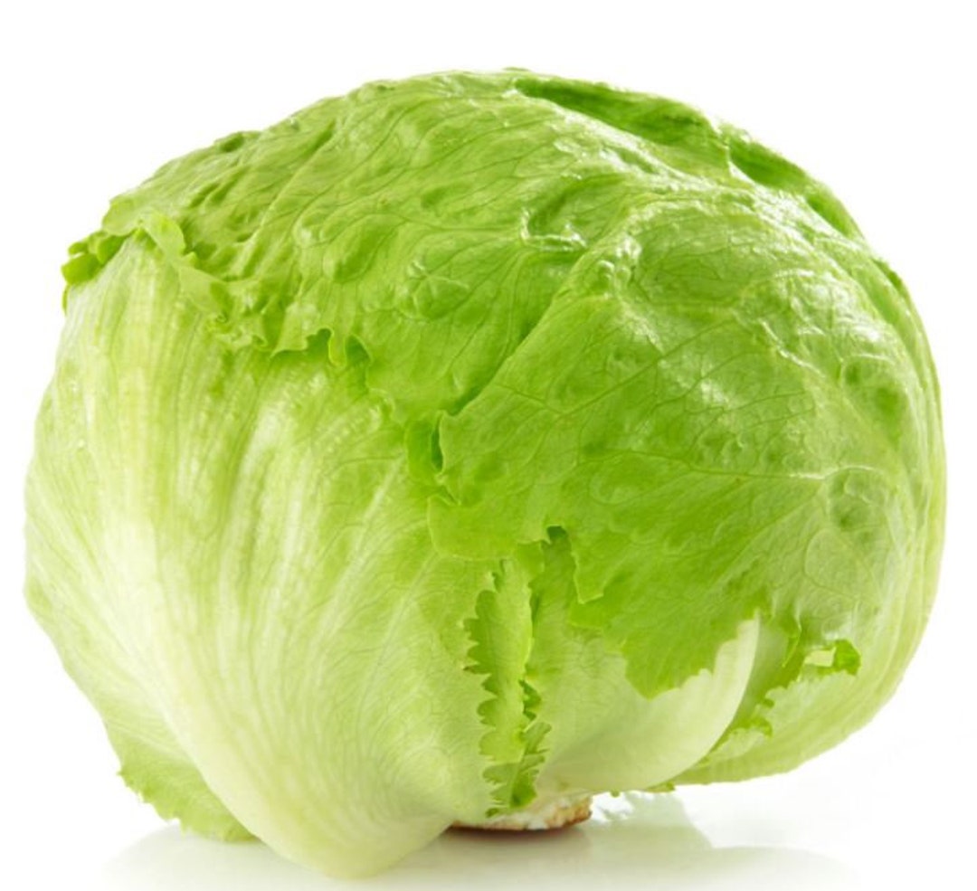 Iceberg Lettuce Seeds - Organic & Non Gmo - Heirloom Seeds - Fresh USA ...