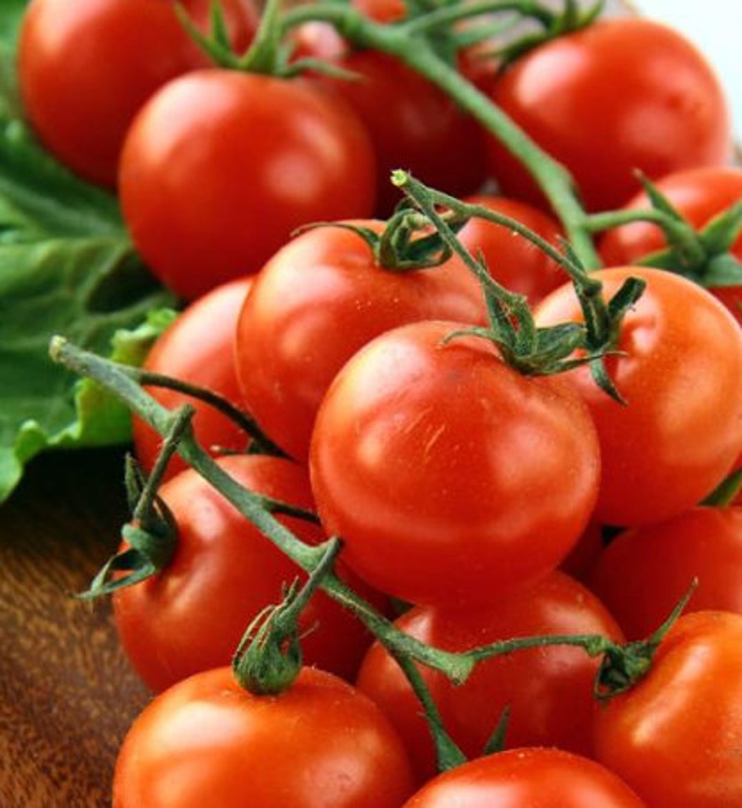 Large Red Cherry Tomato Seeds Organic & Non Gmo Tomato Seeds Heirloom ...