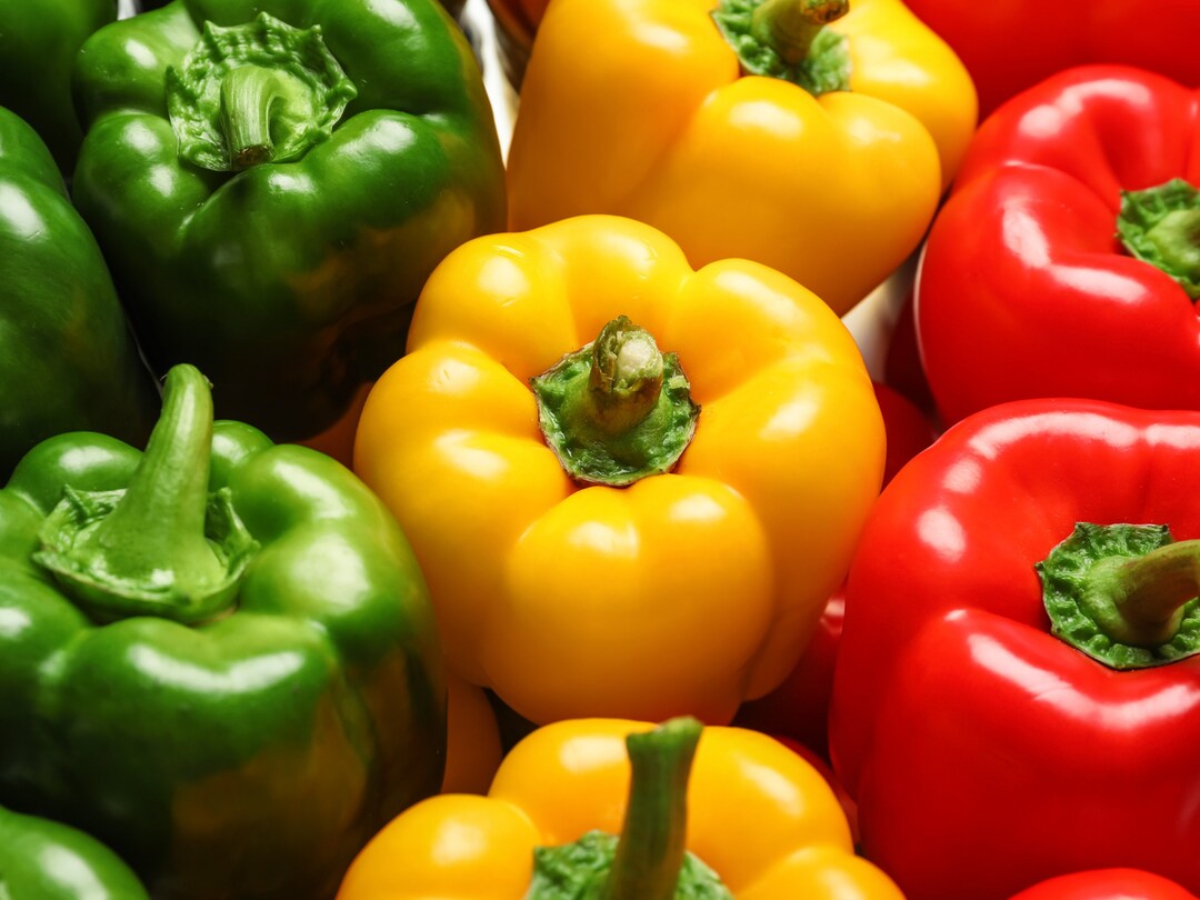 Assorted Bell Pepper Seeds - Organic & Non Gmo Pepper Seeds - Heirloom ...