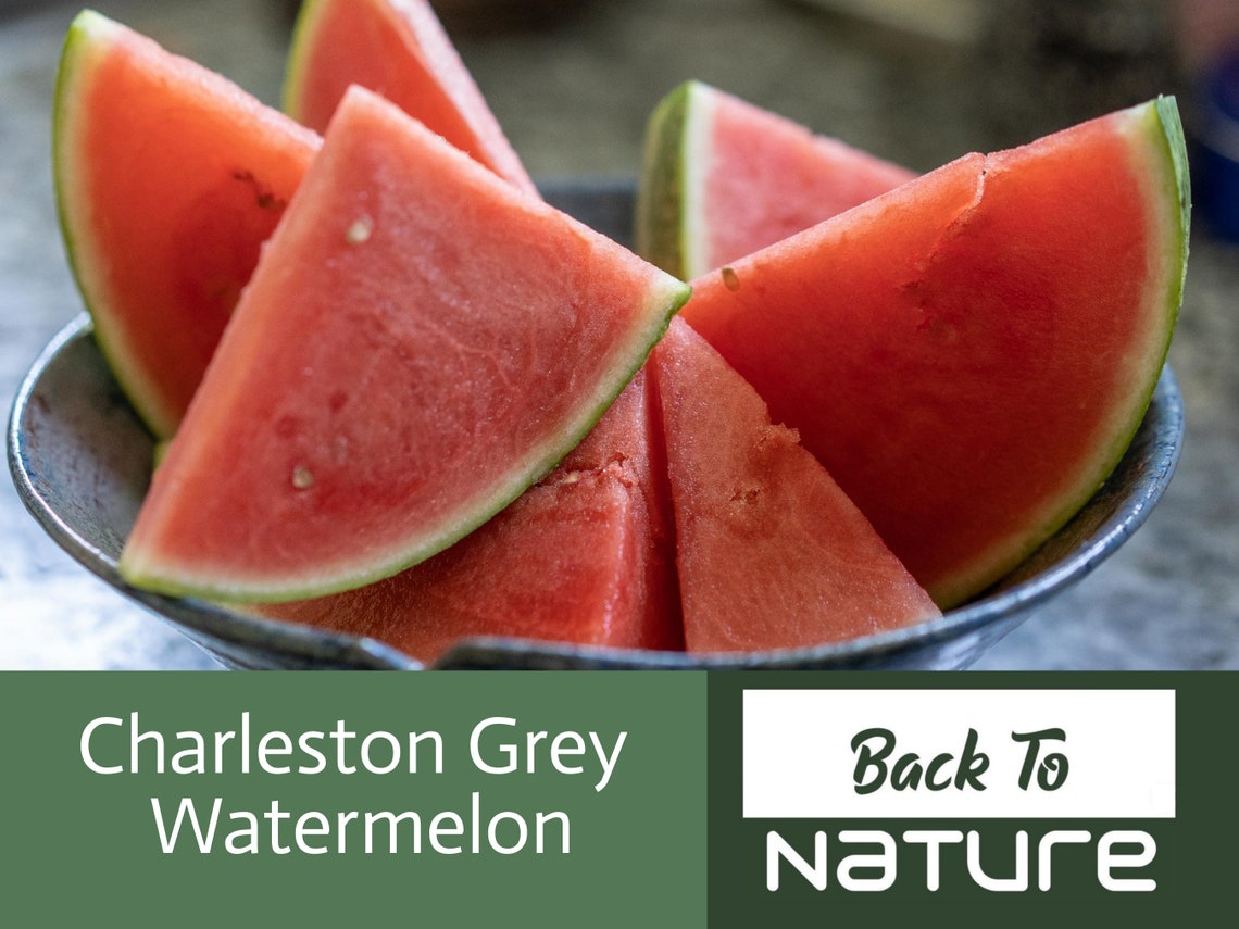 Charleston Grey Watermelon Seeds Organic & Non Gmo - Etsy