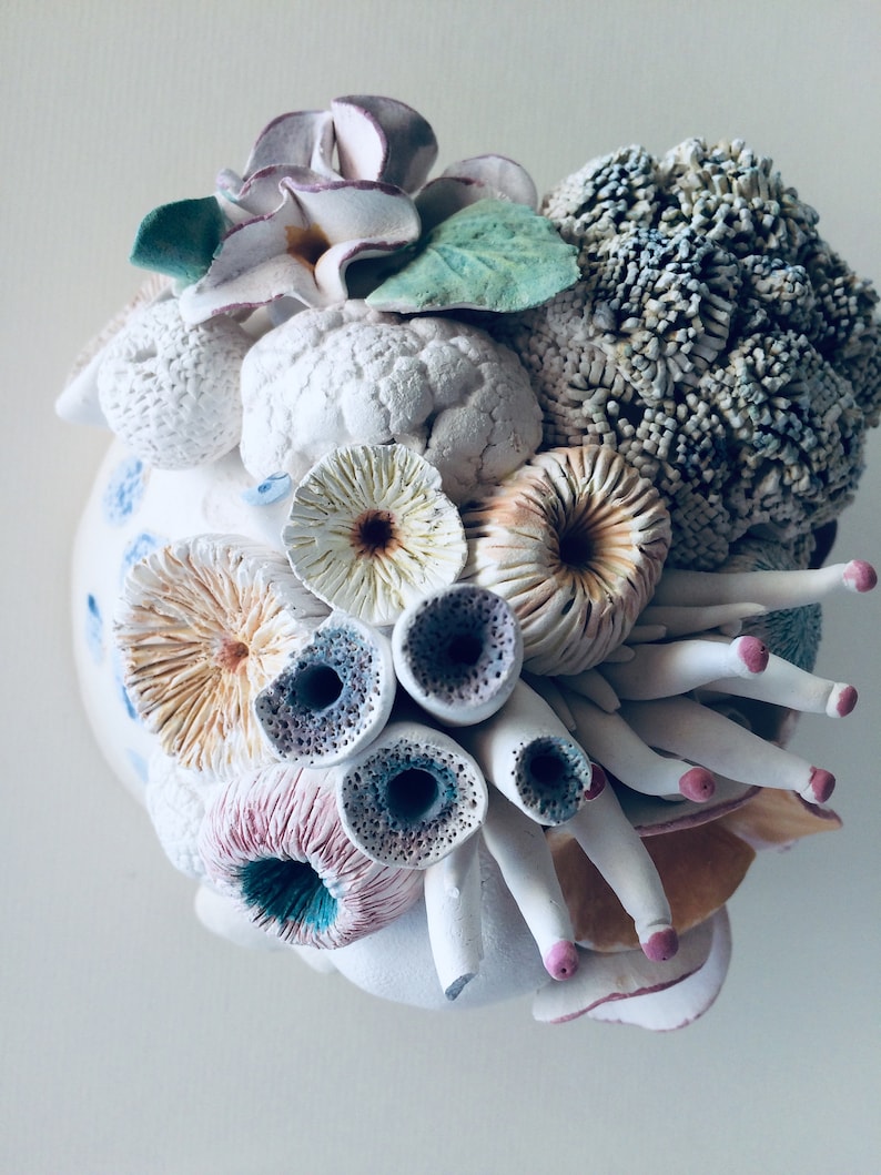 Coral Reef Ceramic Sculpture Framed. Delicately Handmade Contemporary ...