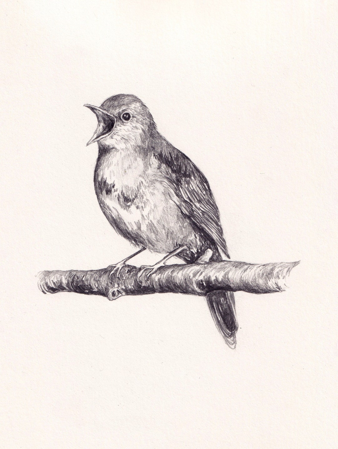 Nightingale for Ukraine Digital Print - Etsy
