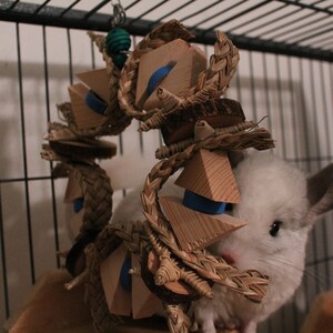 Ultimate Chew Toy Collection. Whimsy's Menagerie Original Design Chew ...