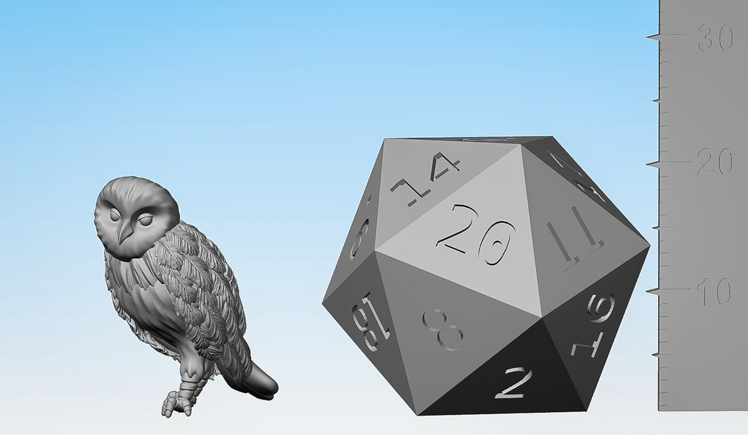 OWL FAMILIAR Dungeons and Dragons DnD Pathfinder Tabletop RPG Hero Size ...