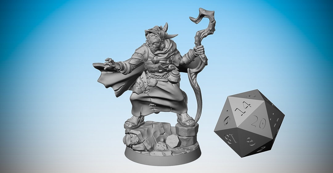 SHAMAN nanaari the Wise Woman Dungeons and Dragons Dnd Pathfinder ...