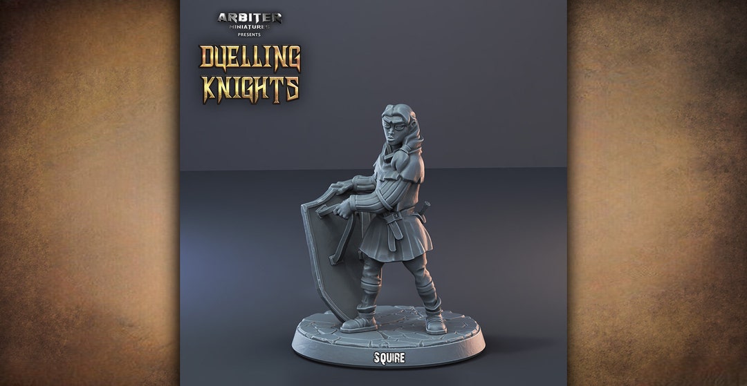 Squire "02" | Dungeons and Dragons | Dnd 12K Print | Pathfinder ...
