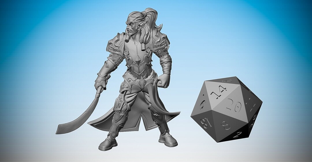 ELF CHAMPION arrogant Dungeons and Dragons Dnd Pathfinder Tabletop RPG ...
