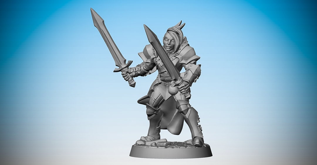 Female HUMAN WARRIOR dual Sword Wielder Dungeons and Dragons Dnd ...