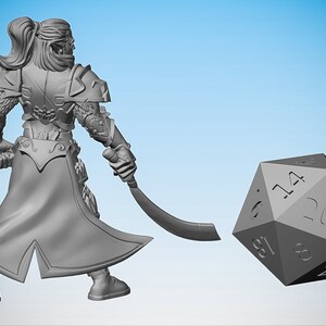 ELF CHAMPION arrogant Dungeons and Dragons Dnd Pathfinder Tabletop RPG ...