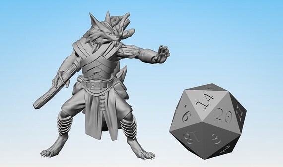 FOXKIN A monk KITSUNE Dungeons and Dragons - Etsy Australia