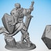 THE PALADIN Dungeons and Dragons Dnd Pathfinder - Etsy