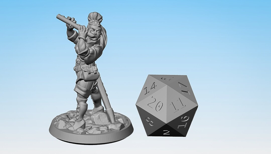 BARD f flute Dungeons and Dragons Dnd Pathfinder Tabletop RPG Hero Size ...